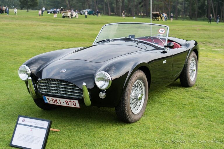 Top 5 Fastest Muscle Cars of the 1960s